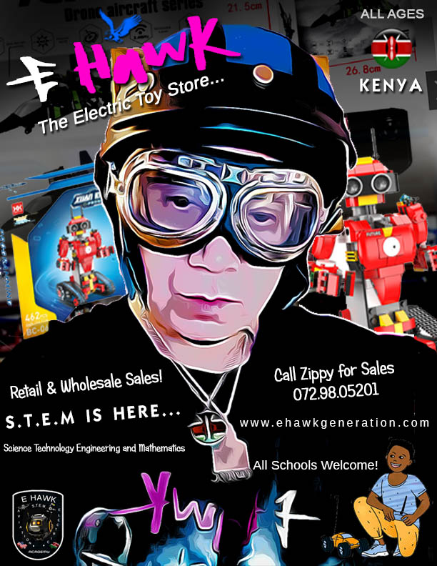 E HAWK ELECTRIC ZONE/E BIKES/S.T.E.M. STORE...