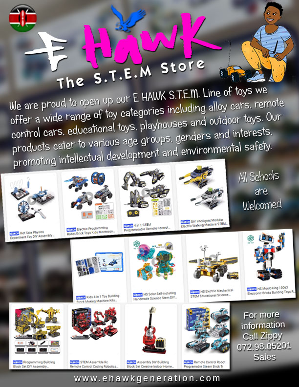 E HAWK ELECTRIC ZONE/E BIKES/S.T.E.M. STORE...